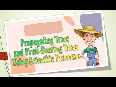 Propagating Trees and Fruit-Bearing Trees Using Scientific Processes ...