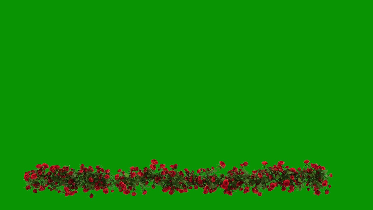 green screen Flower Lower Third full hd - YouTube