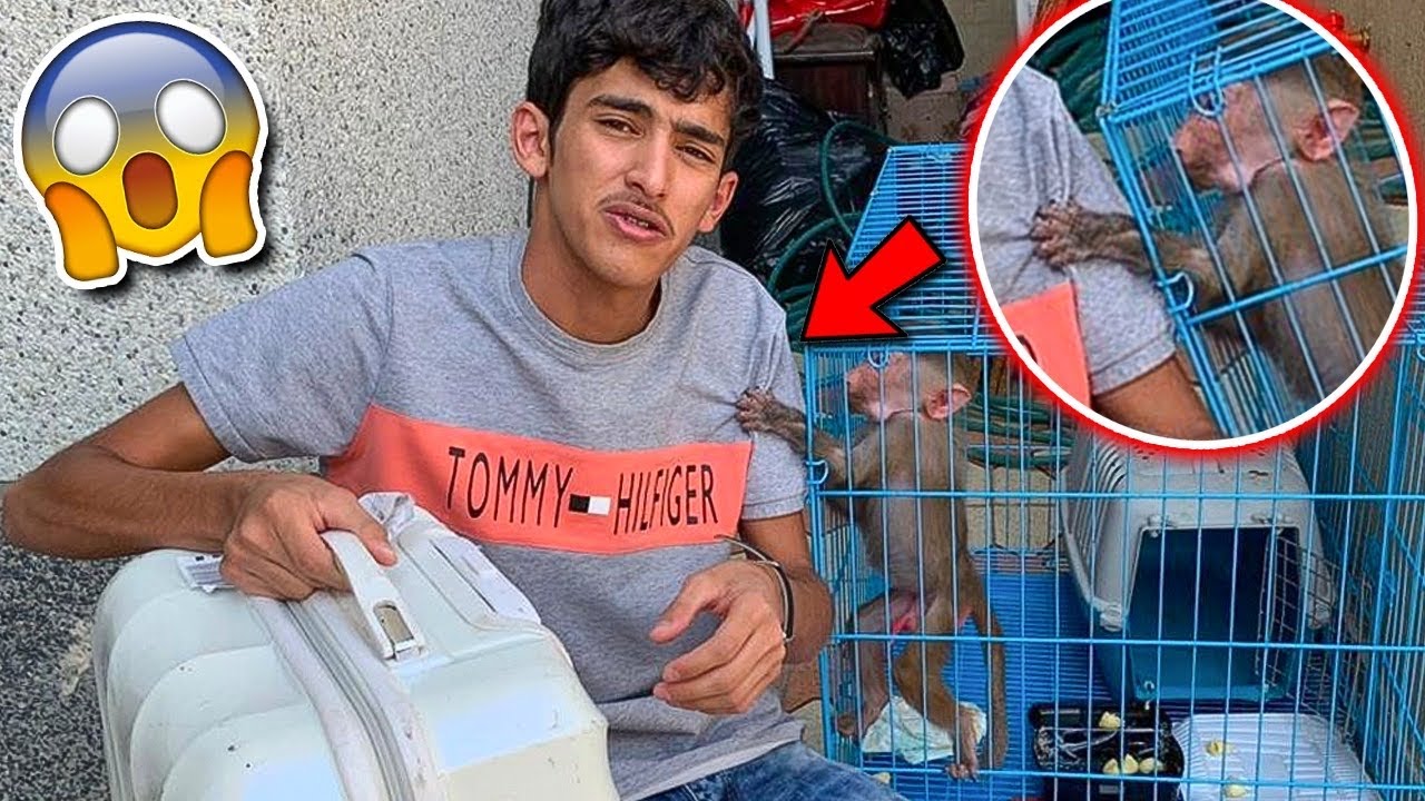يزن يبي يسافر وعبسي يودعه ويبكي💔 Youtube