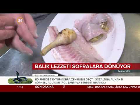 Balık sezonu açıldı. Enginarlı levrek, tekir tava ve palamut ızgara nasıl yapılır?