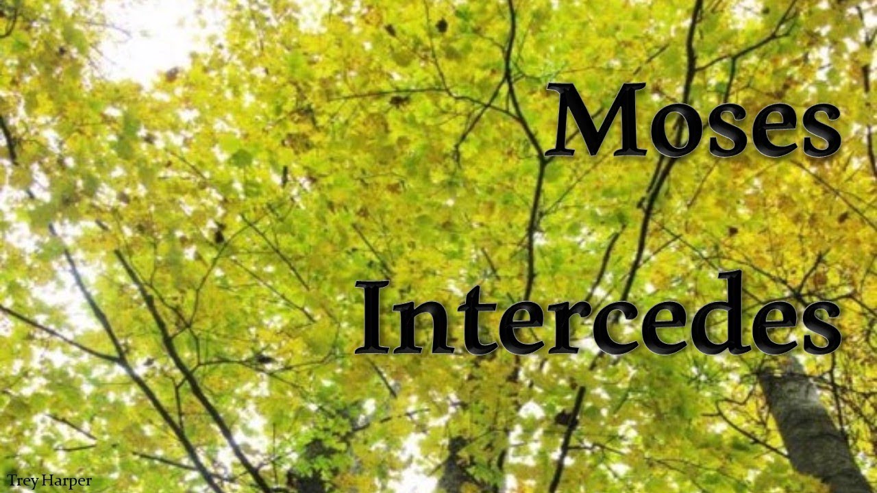 Moses Intercedes For Israel - YouTube