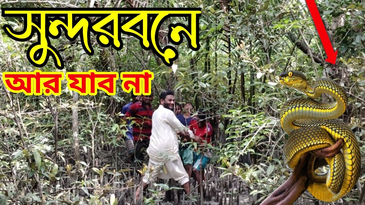 সুন্দরবনে সাপের আক্রমণ 😱 Sundarban Snake Attack | Real Adventure Vlog 2025 | rkrb | - YouTube