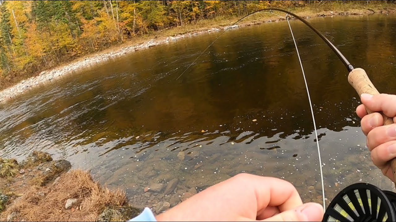 15lb Salmon, Margaree Fall Fishing 2022 - YouTube