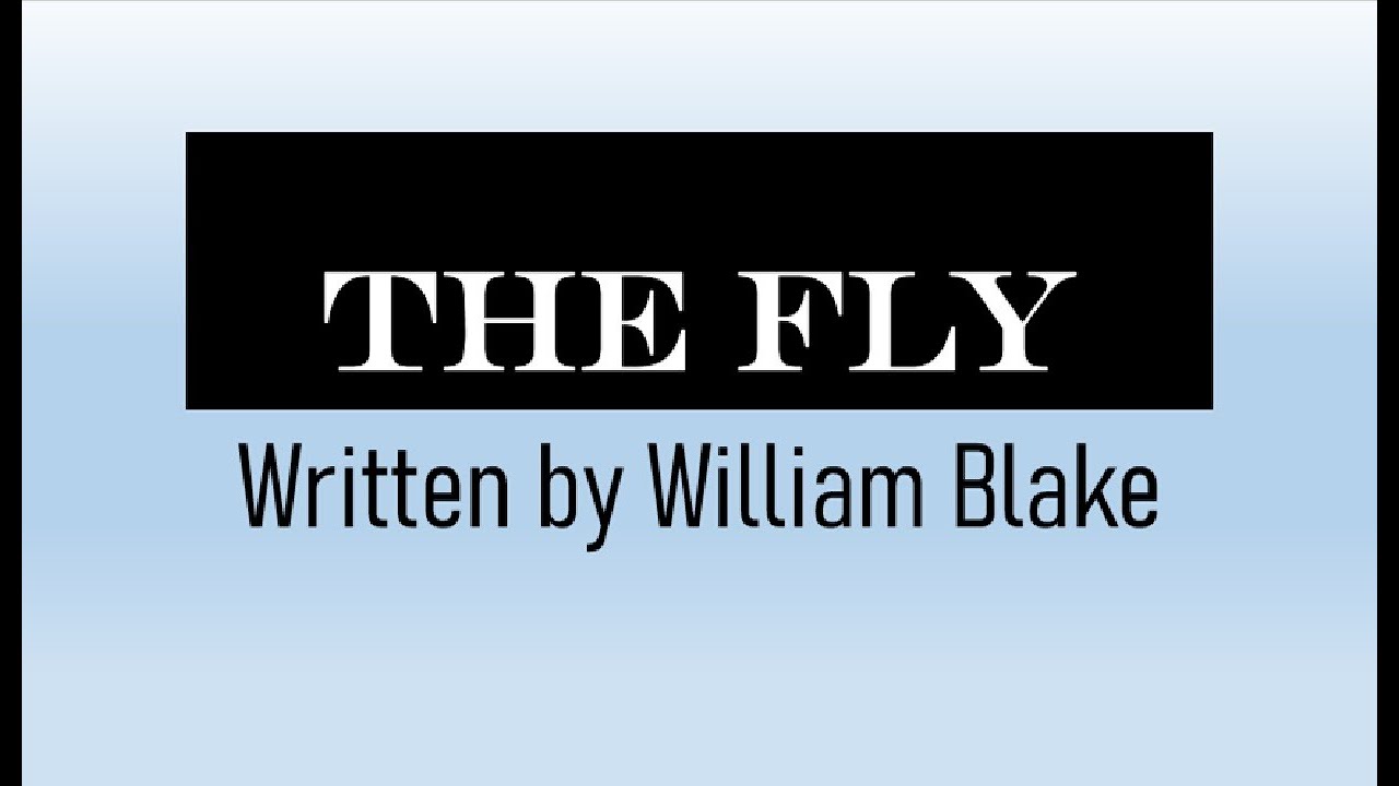 The Fly written by William Blake - YouTube