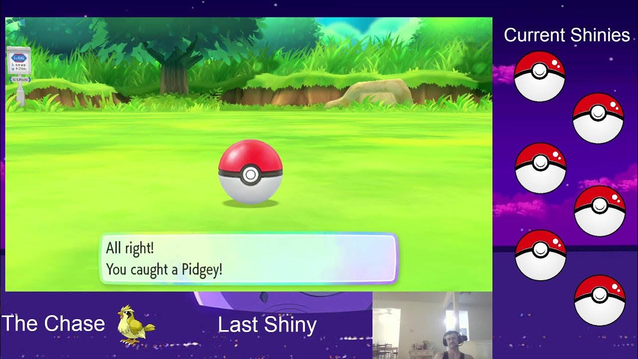 Pidgey Shiny Hunt Lets Go Eevee - YouTube