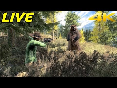 THE HUNTER CLASSIC 4K LIVE - USCIAMO A CACCIA - GAMEPLAY ITA - YouTube