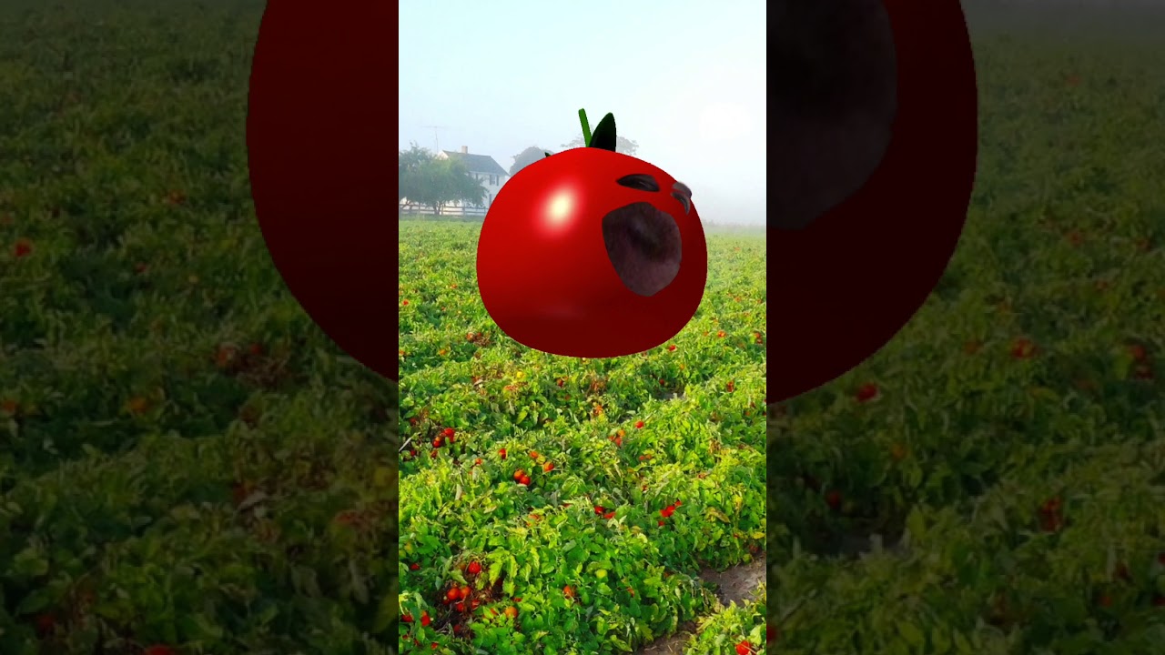 Play tomato twins - YouTube