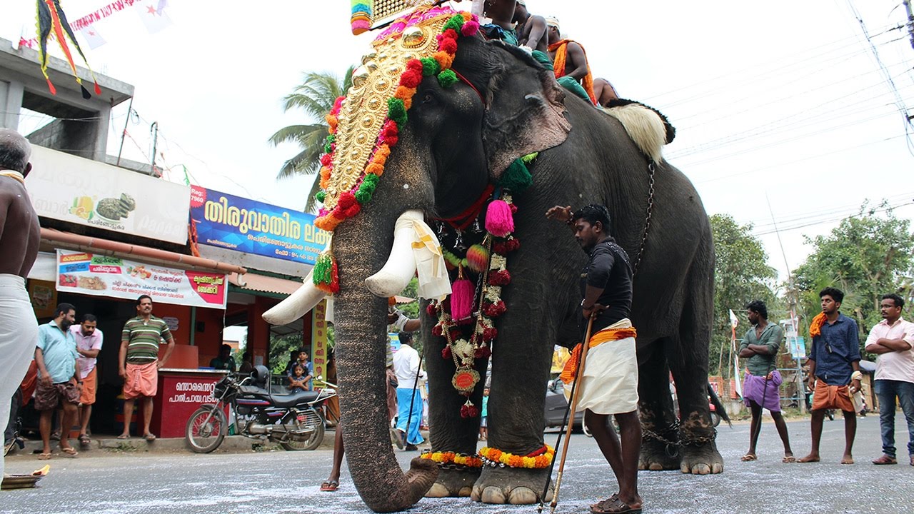 Pampady Rajan Latest Video 2017 പാമ്പാടി രാജൻ - YouTube