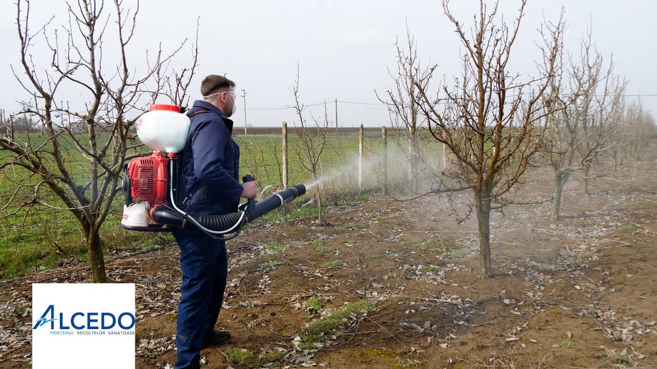Stropiri de primăvară la pomii fructiferi cu produse de la ALCEDO - YouTube