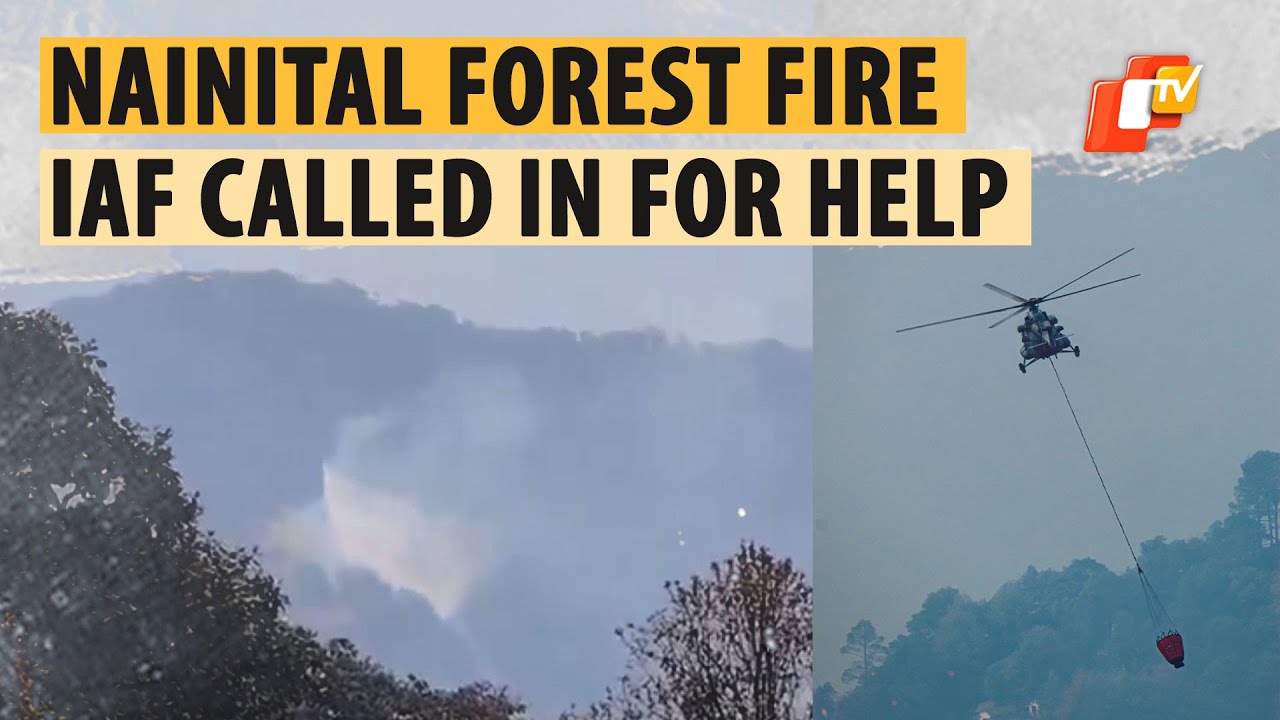 Nainital Forest Fire: IAF Choppers Deployed To Extinguish Fire, CM ...