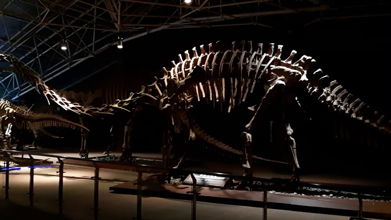 Yuanmousaurus - YouTube