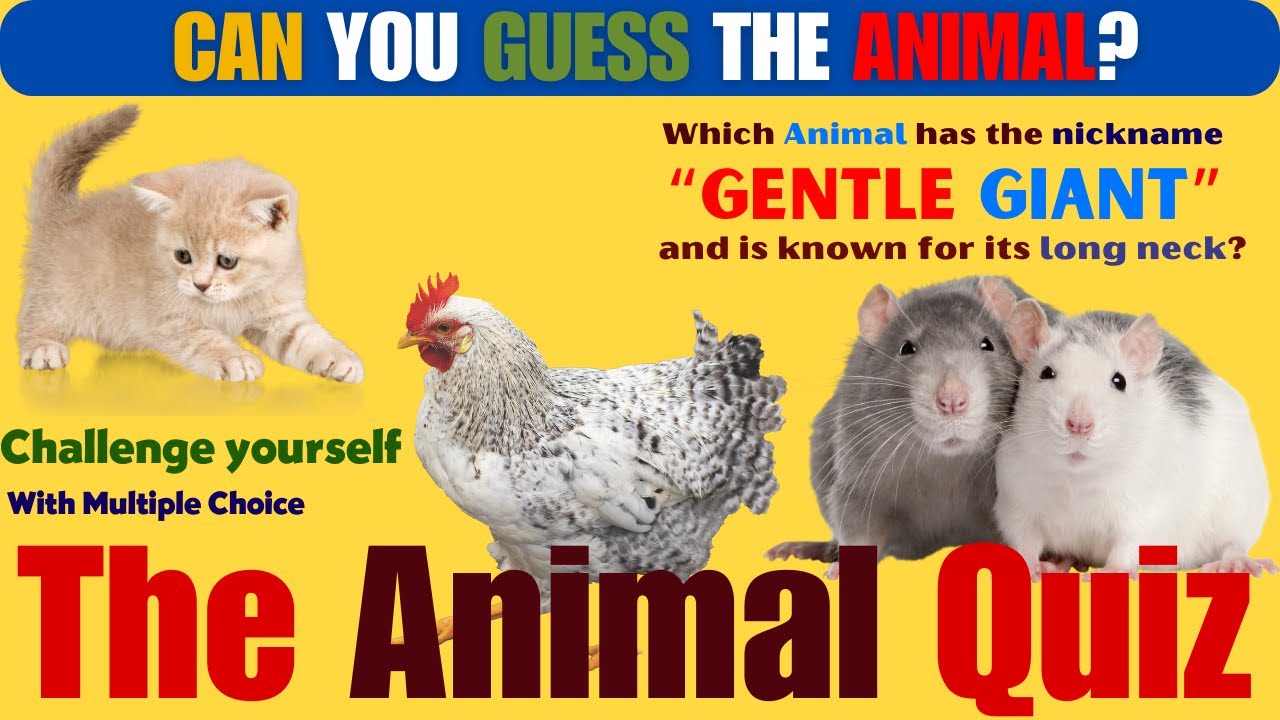 Animal Quiz: General Knowledge Quiz || @QuizFunland - YouTube
