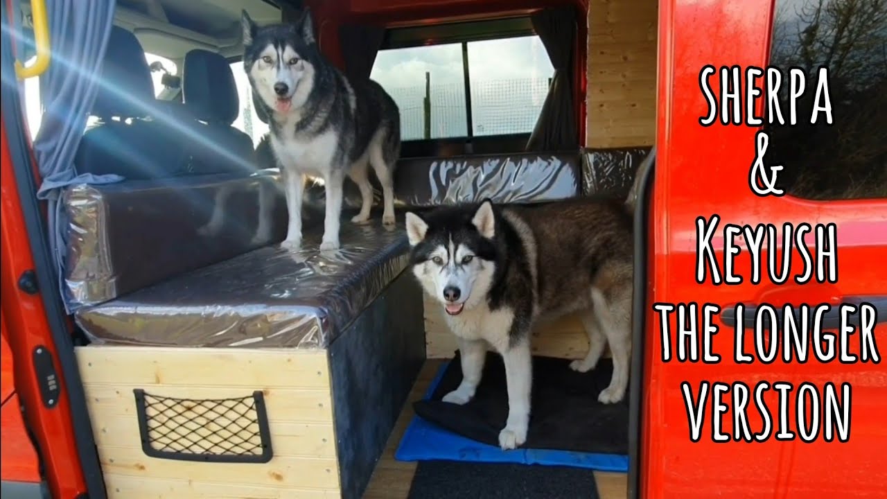 Sherpa and Keyush's final Lockdown play | The Longer Version - YouTube