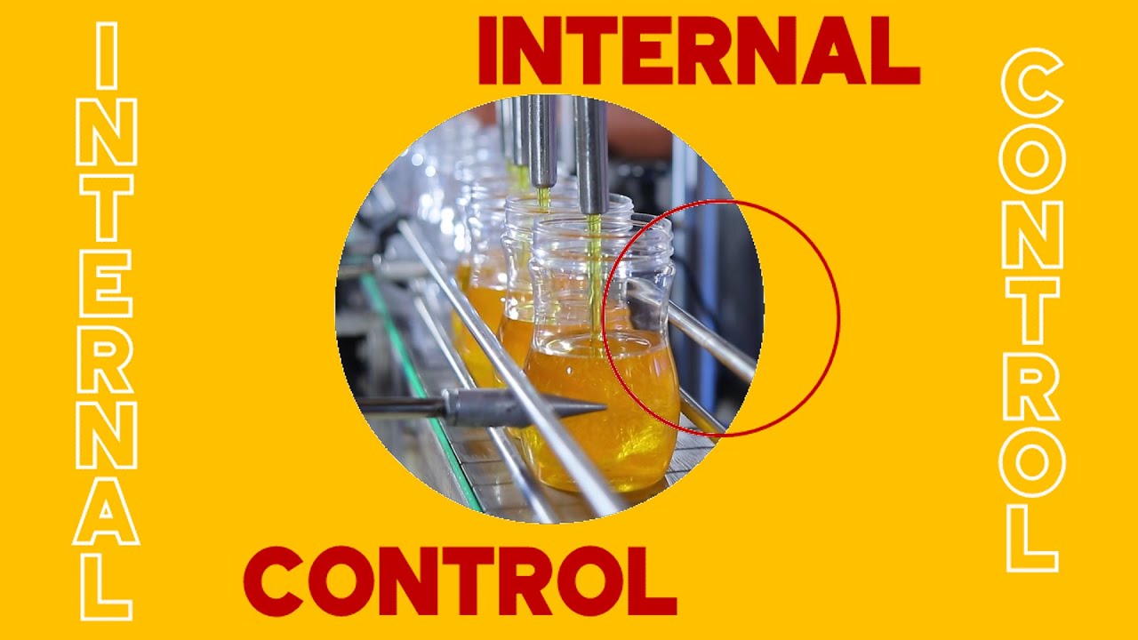 Internal Control - Overview - YouTube