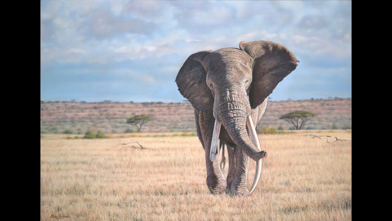 How to paint an african elephant in pastel. #painting #paintingtutorial ...