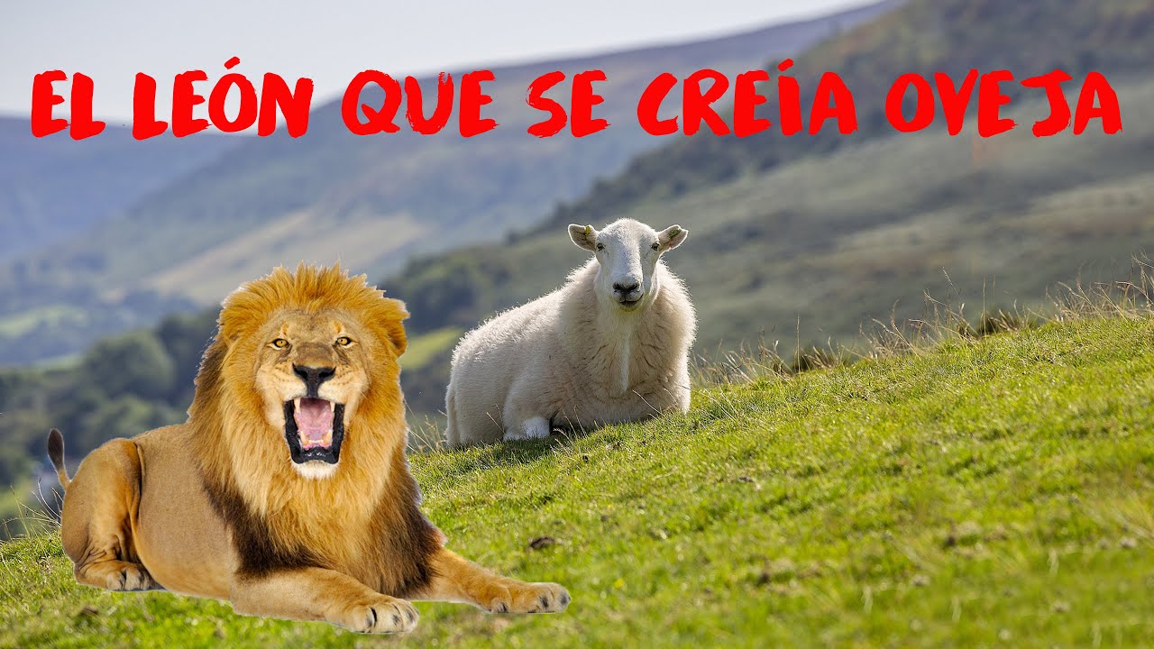 EL LEÓN QUE CREÍA SER OVEJA - YouTube