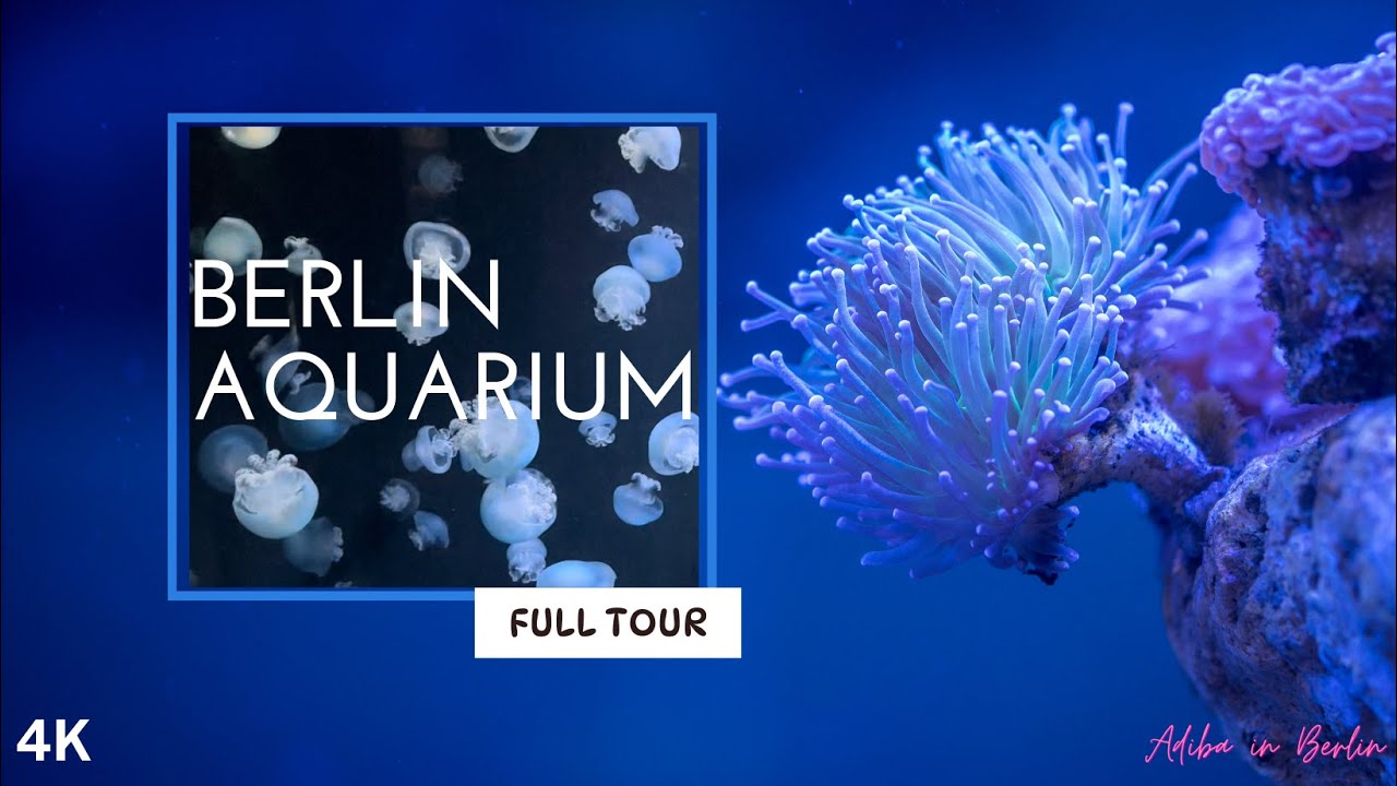 Aquarium Berlin Full Tour | Berlin Aquarium Walking Tour in 4K | 4K ...