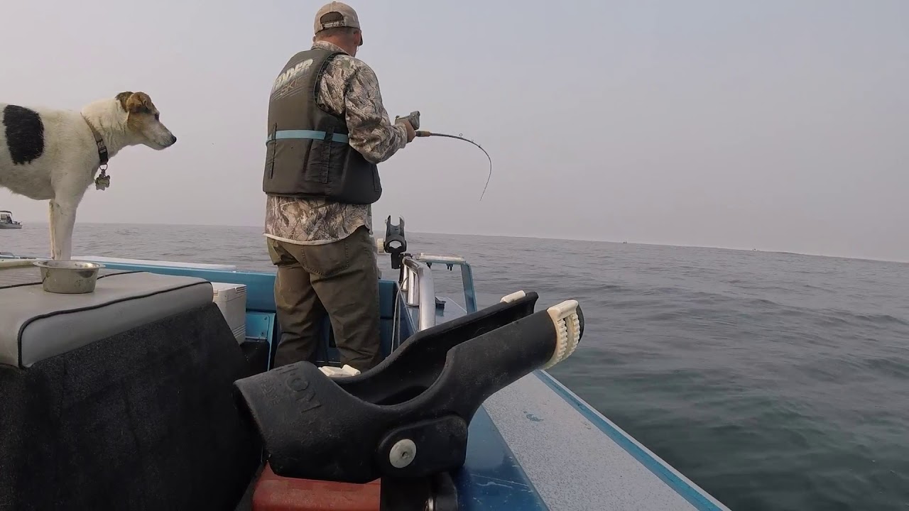 Winchester Bay Fall Chinook - YouTube