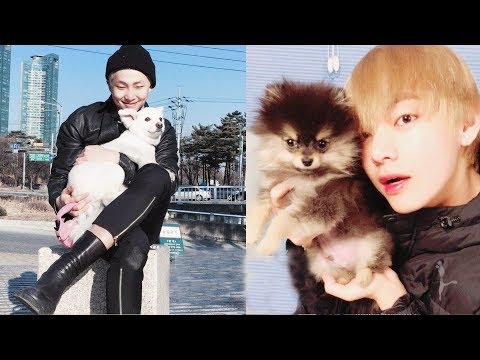 BTS Cute Animals Compilation