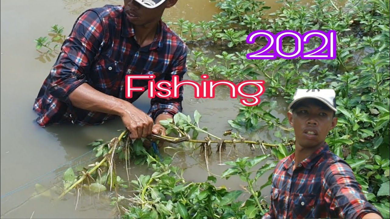 Go fishing in the forest, meet a lot of fish ...