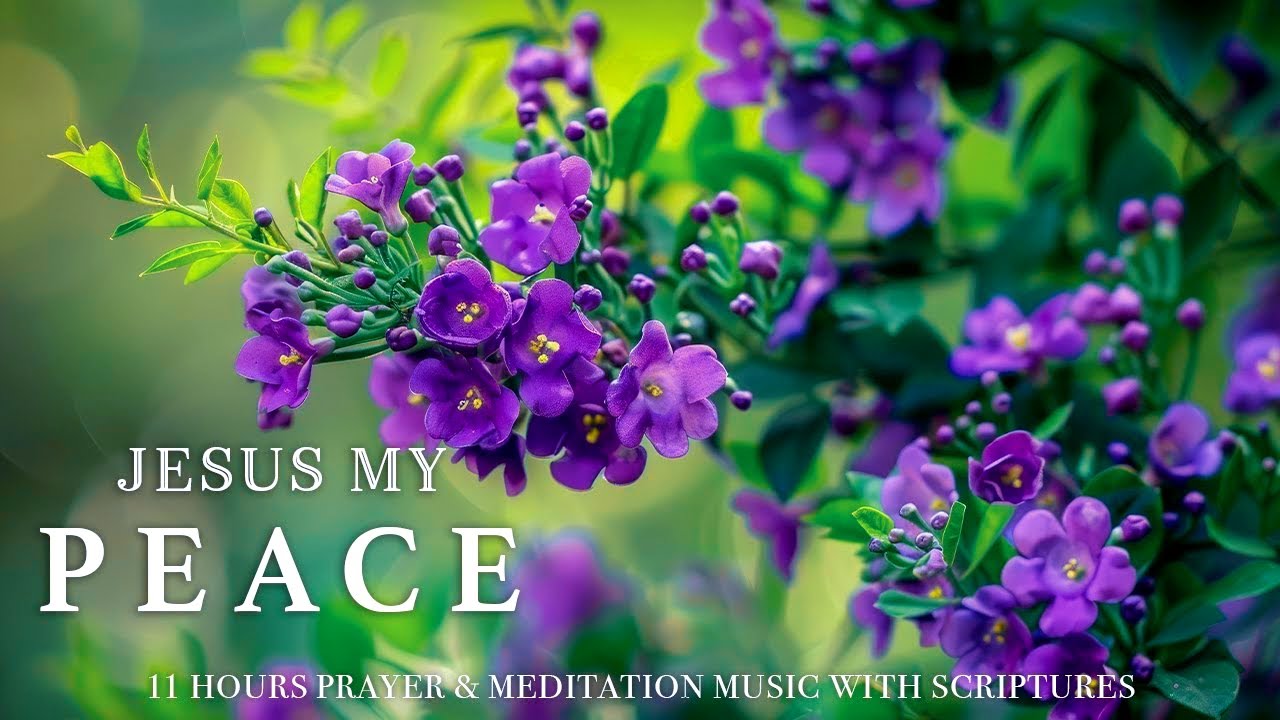 JESUS MY PEACE | Soothing Worship Piano & Powerful Bible Verses ...