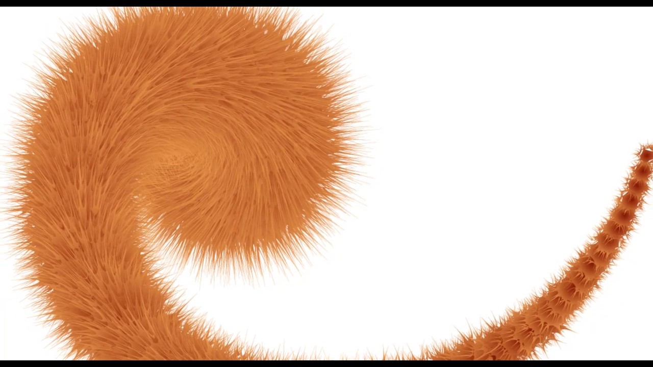 Spiral tool and Hair Effect in Adobe Illustrator CC 2019 tutorial - YouTube