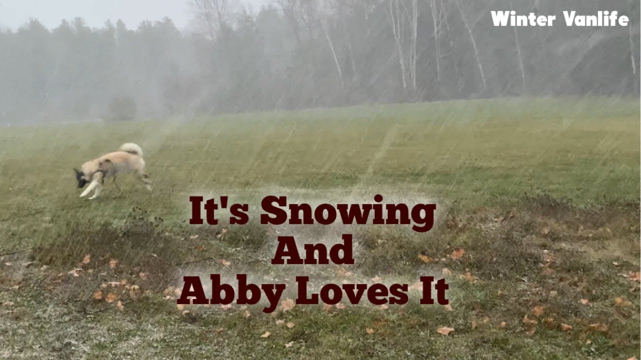 Noooooo!!!! Not Snow! - YouTube