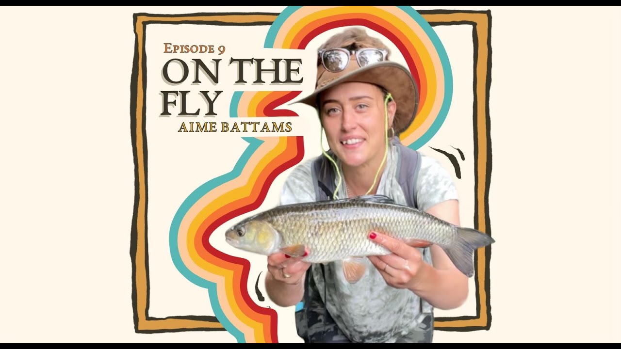 Episode 9 - On The Fly with Aime Battams - YouTube