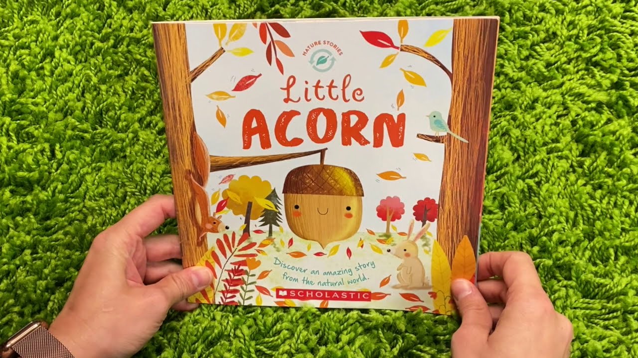 Little Acorn Read Aloud - YouTube