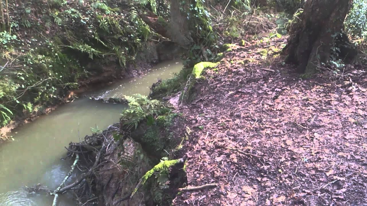 River jump fail. I hesitated! - YouTube