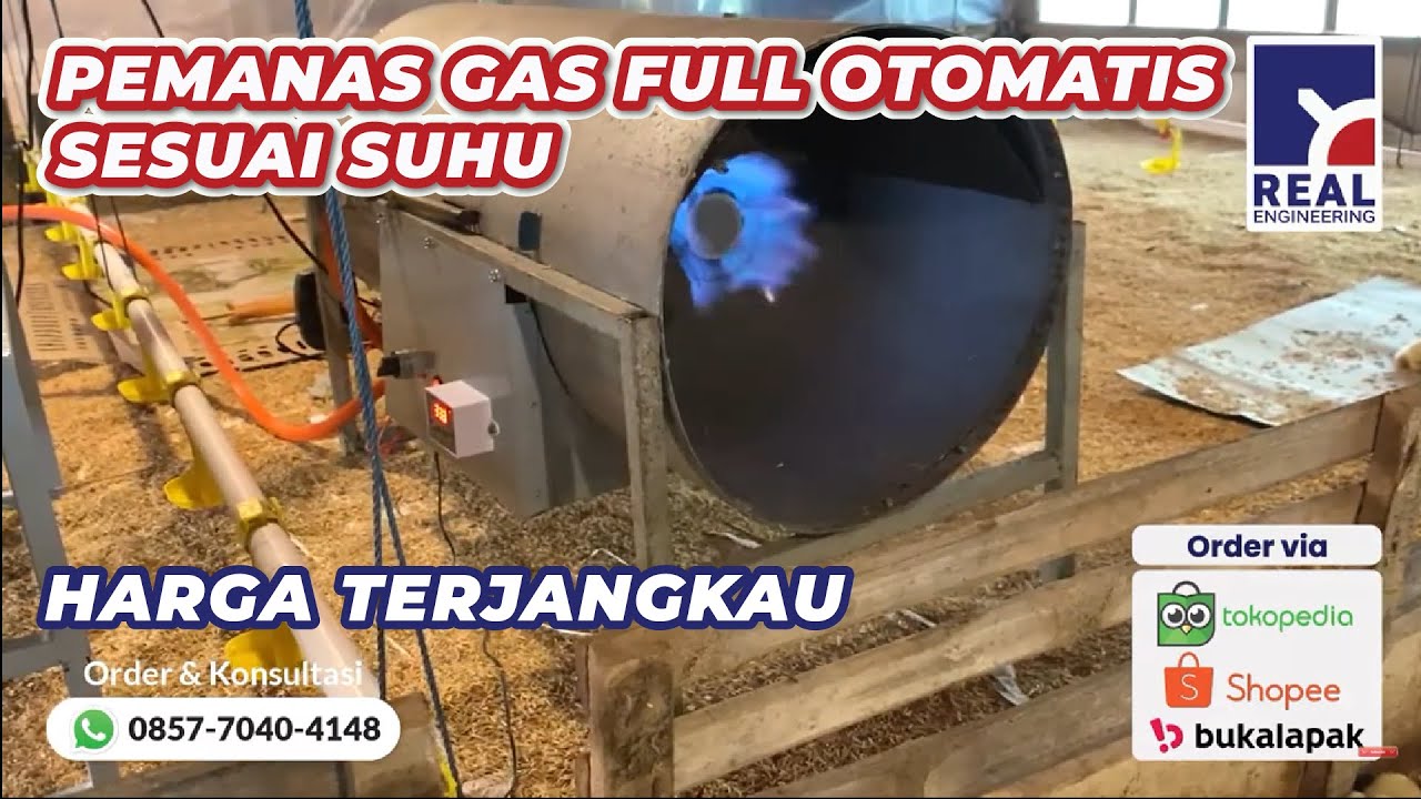 Pemanas Ruangan Kandang Ayam Broiler Bahan Bakar Gas Full Otomatis ...