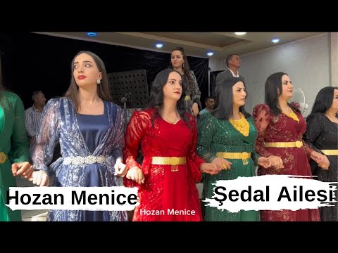 Hozan Menice _ Şedal Ailesi  Hakkari Yüksekova Düğünleri [ 2023 HD @ ]