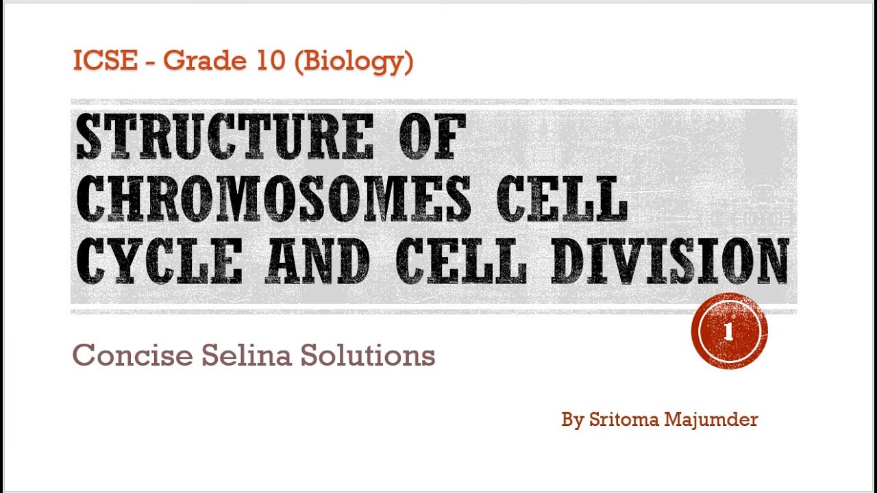 ICSE - Grade 10 - Biology - Structure of Chromosomes Cell Cycle & Cell ...