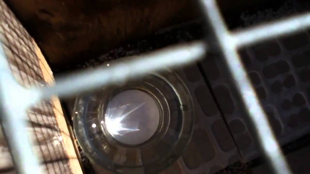 Leopard gecko outdoor pen - YouTube