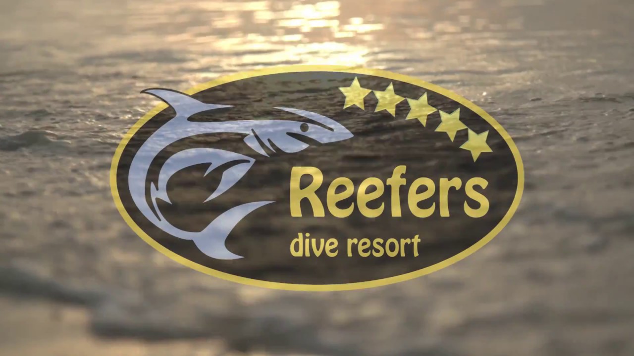 Reefers Promo Video - YouTube