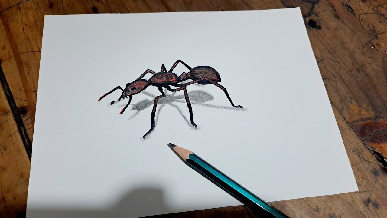 Proses bikin gambar semut 3D | Drawing Ant 3d - YouTube