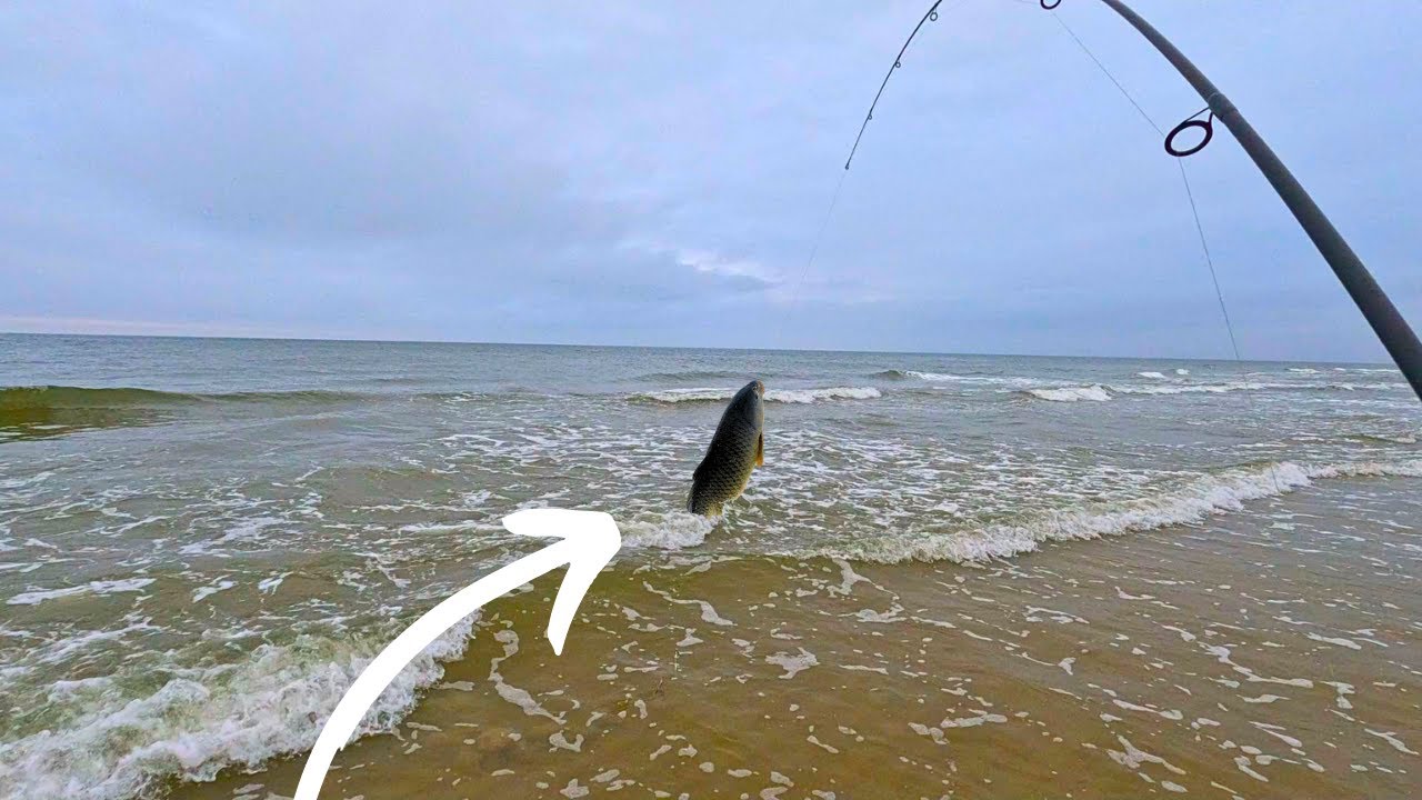 Unveiling the Secrets of Scandinavian Sea Fishing with a Pro! (Catch ...