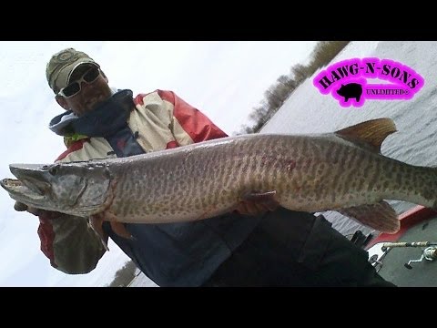 Catching Northern Pike - Perch Ice Fishing Silver Lake - HawgNSonsTV ...