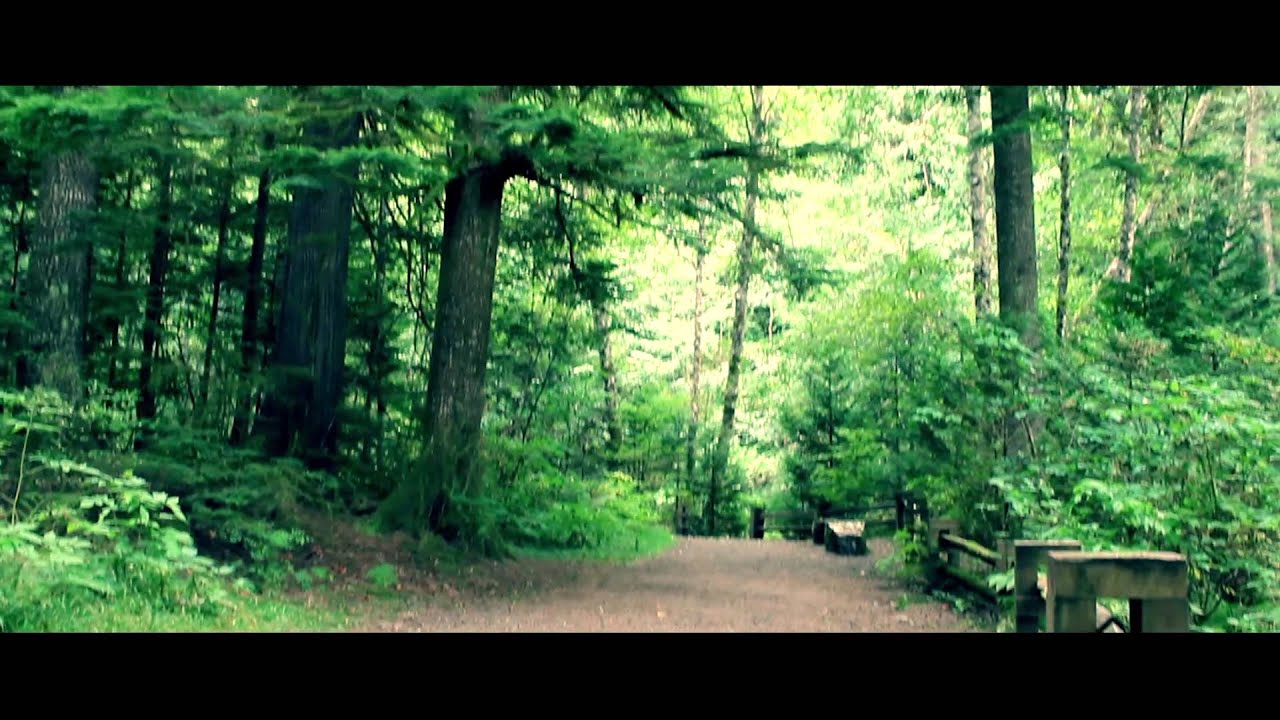 Beautiful British Columbia Shannon Falls and Capilano Suspension - YouTube