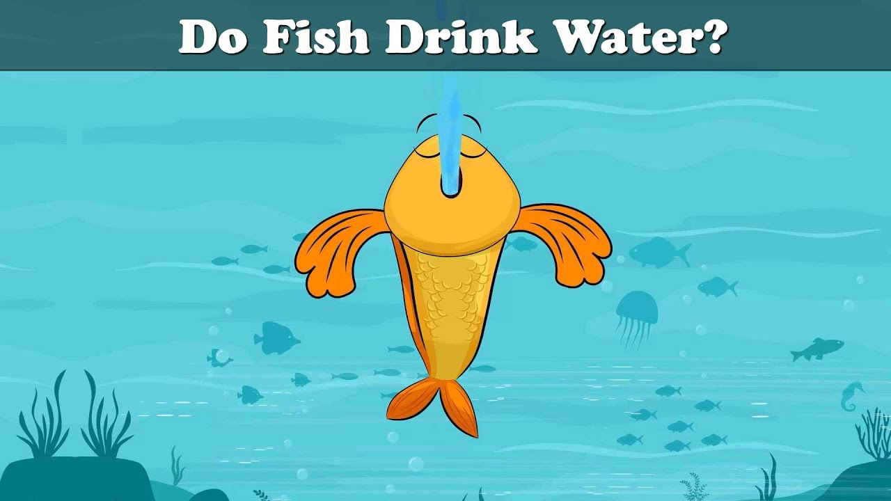 Cartoon Images Of Fish In Water Animated Cartoon Design Of Sea Water