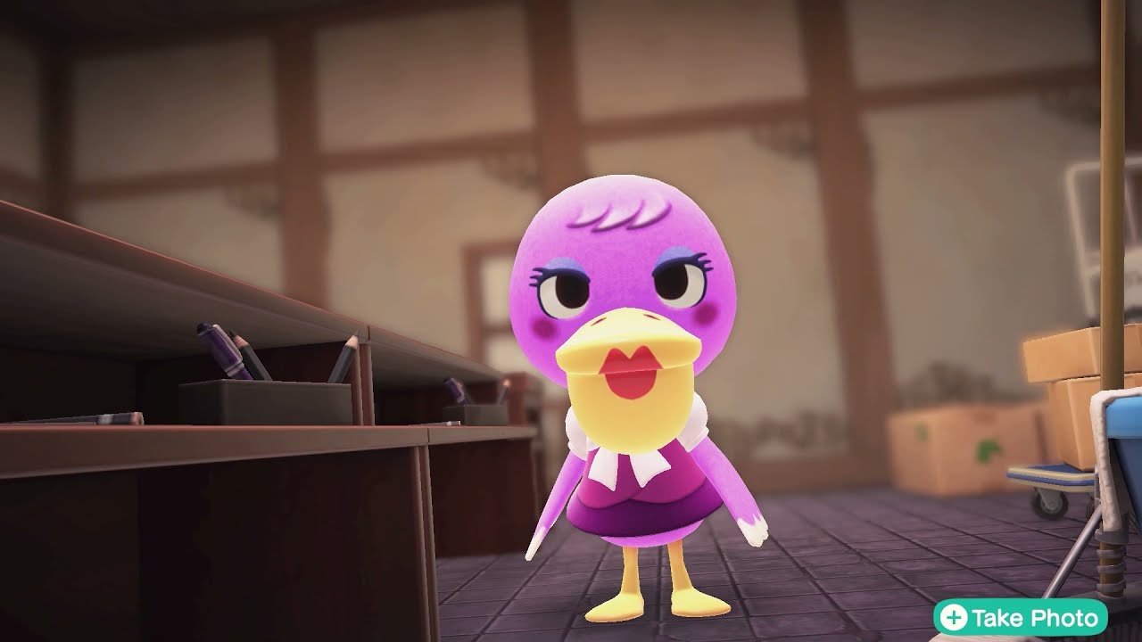 Phyllis Animal Crossing