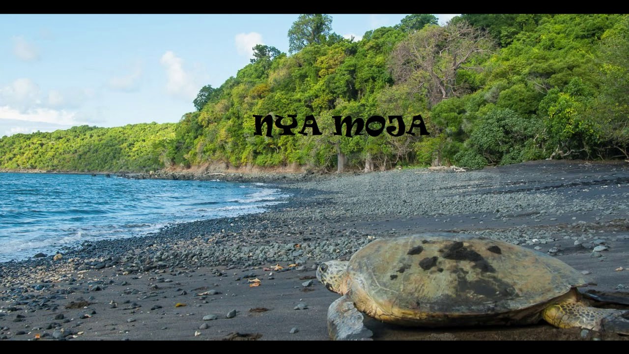 TAMA MUSIC NYA MOJA LADA YA MOINA - YouTube