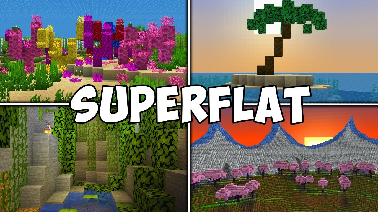 I TRANSFORMED Superflat! - YouTube
