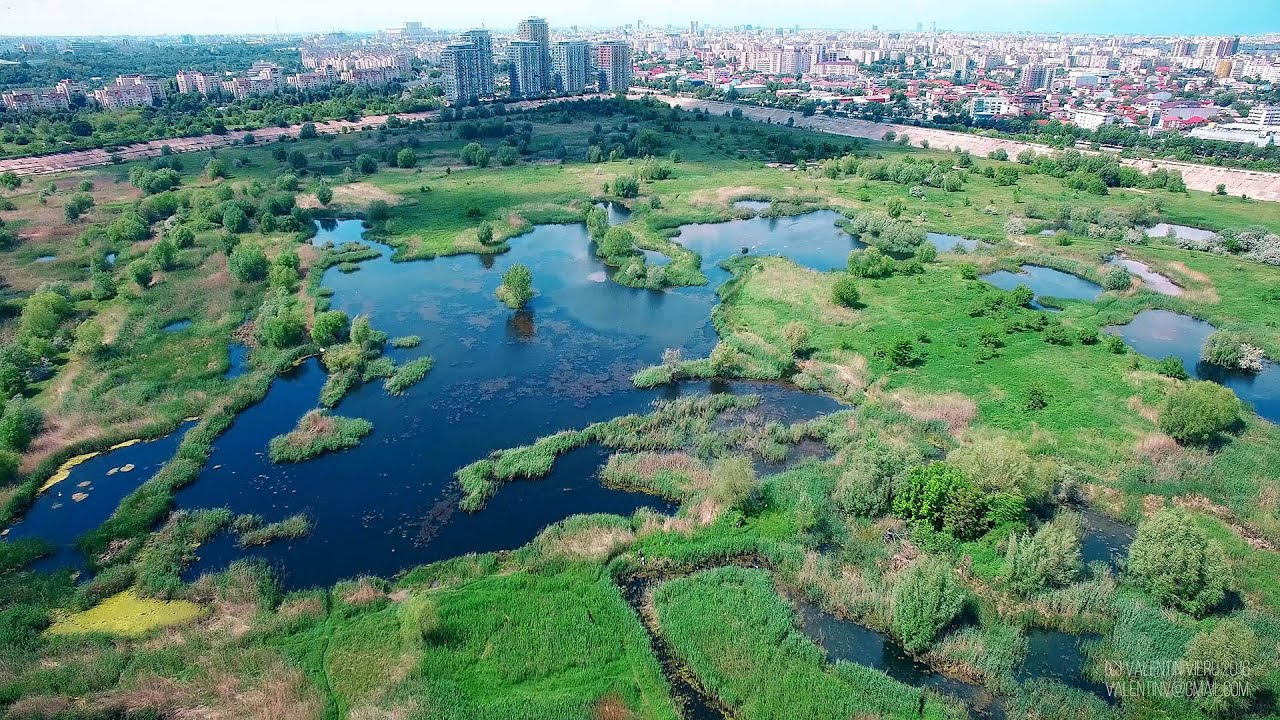 Parcul Natural Vacaresti - Delta Bucurestiului - YouTube