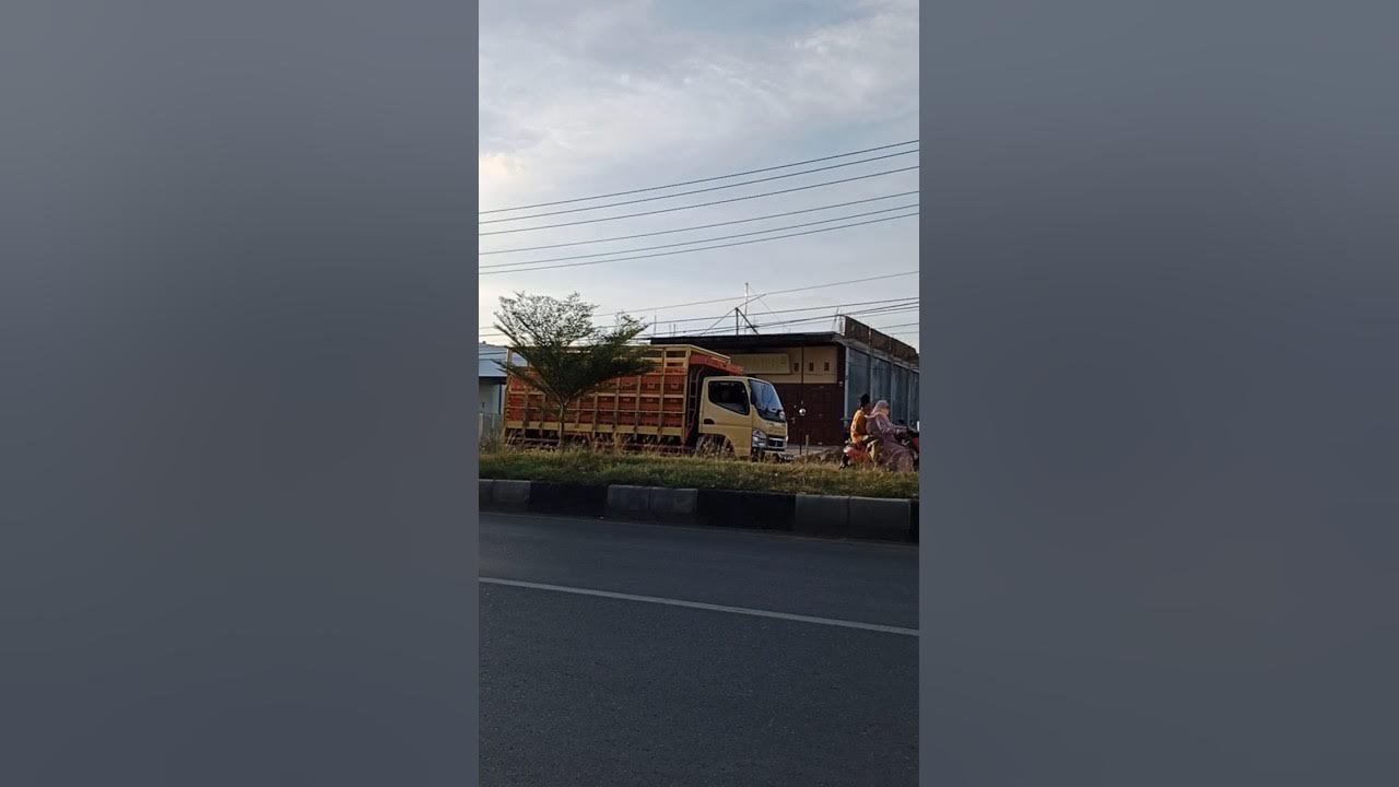 Truk pengangkut ayam potong melintas di Lambaro - YouTube
