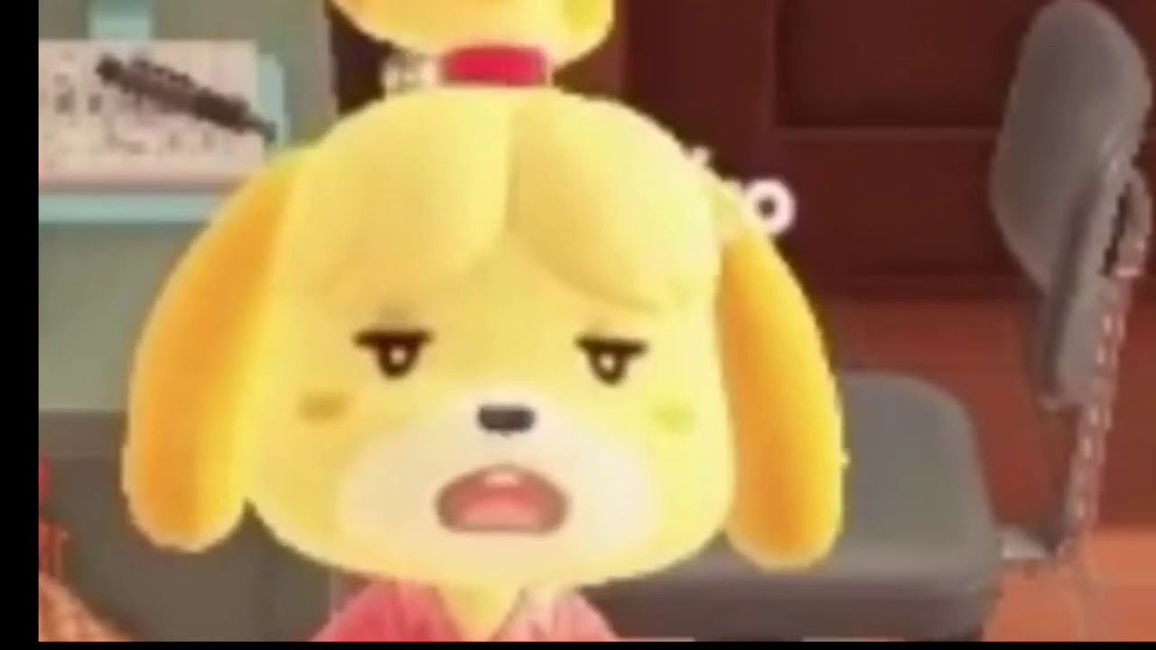 isabelle coughing loudly meme - YouTube