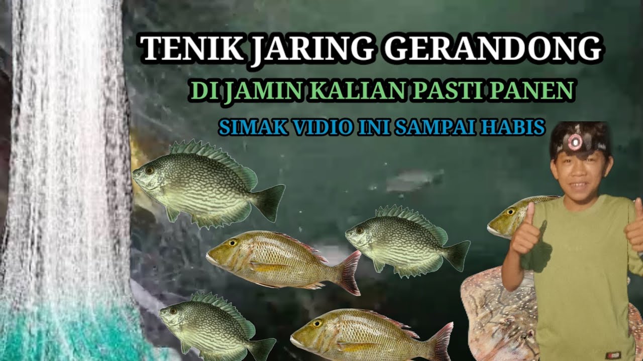 Pasang jaring dua jam lansung panen ikan babon - YouTube