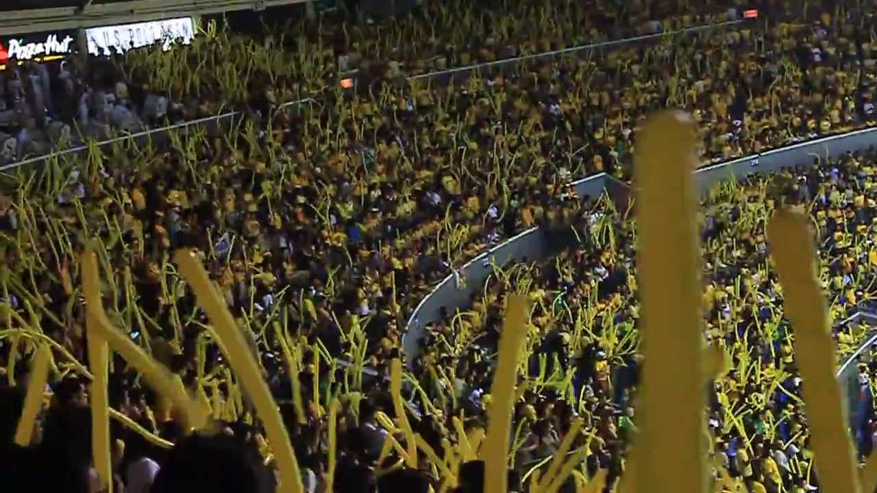 GO USTe - YouTube