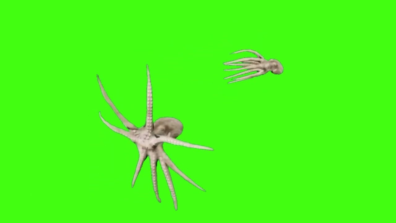 FREE! Make your Own Octopus Flying or Crawling! Free Green screen # ...