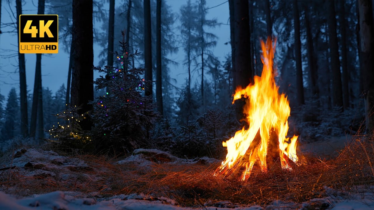 Christmas Forest Campfire 🎁 100% Authentic Sounds 🎄 Glowing Tree - YouTube